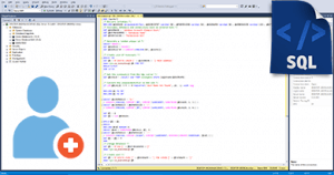 Add Windows User With Permissions Using SQL Query of Dynamics NAV - NAVUSER